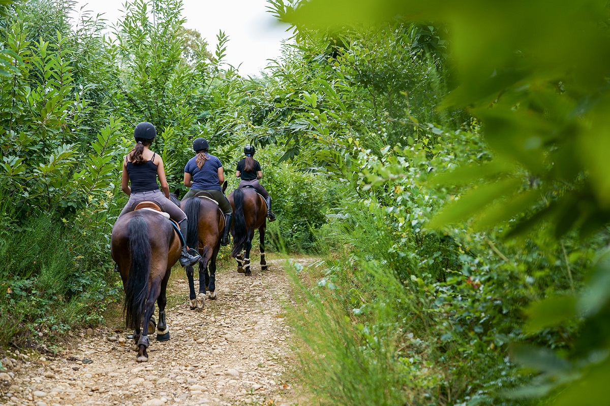 Randonnée équestre : comment faire pour s’y préparer